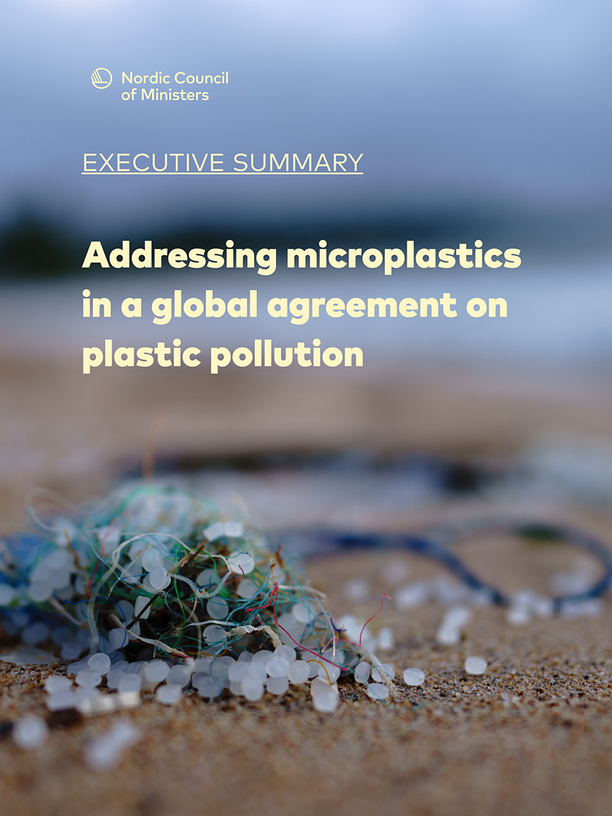 Addressing Microplastics in a Global Agreement on Plastic Pollution