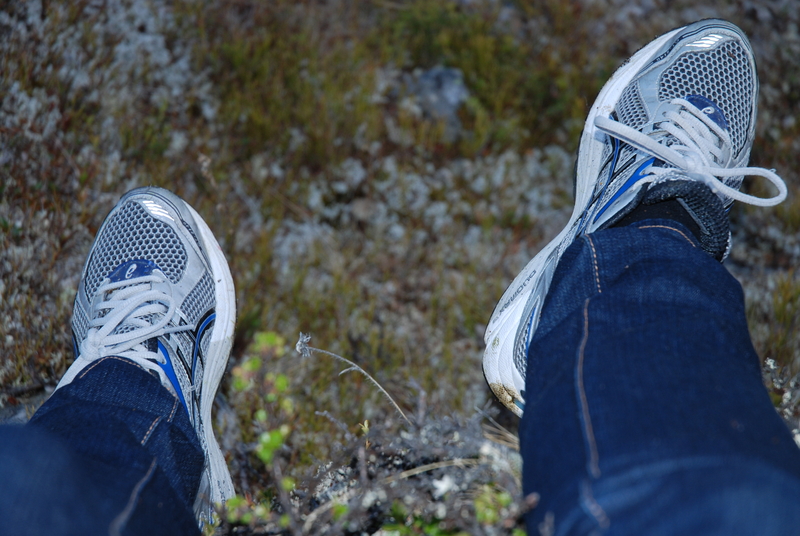 Rehabilitation in Sweden | Nordic cooperation