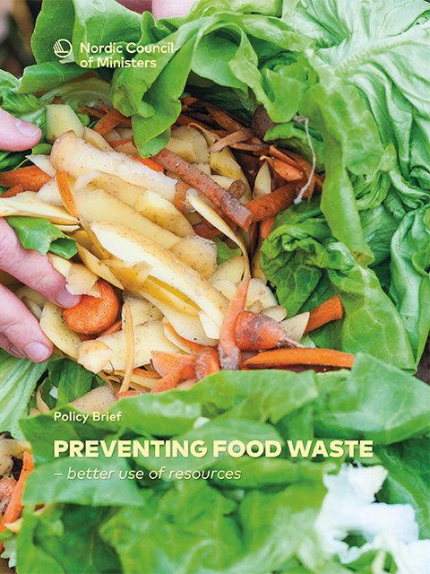 Preventing Food Waste