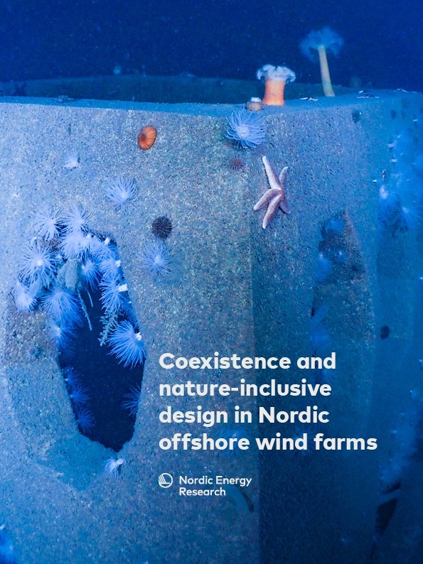 Coexistence and nature-inclusive design in Nordic offshore wind farms
