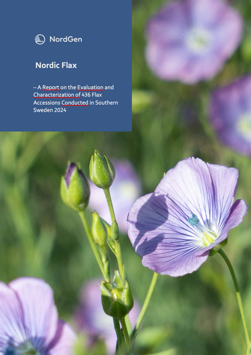 Nordic Flax